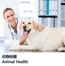 Shaanxi Dideu Medichem Co. Ltd - Chemical Raw Materials, APIs ...